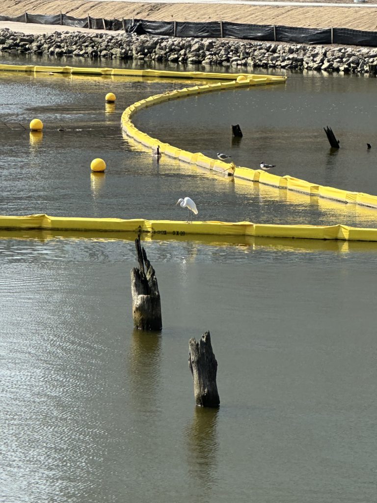 Rezoning – Save the Inlet